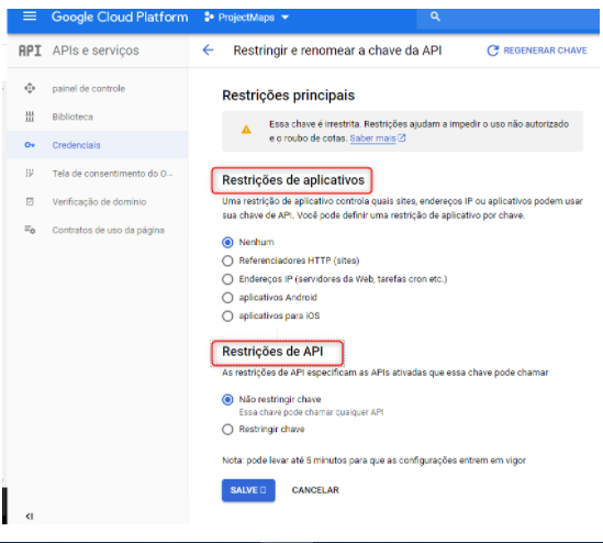 Como criar uma API Key o Google Maps?